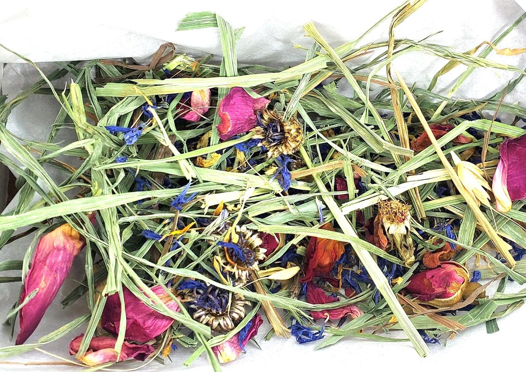 Summer Hamster Forage Mix - Etsy