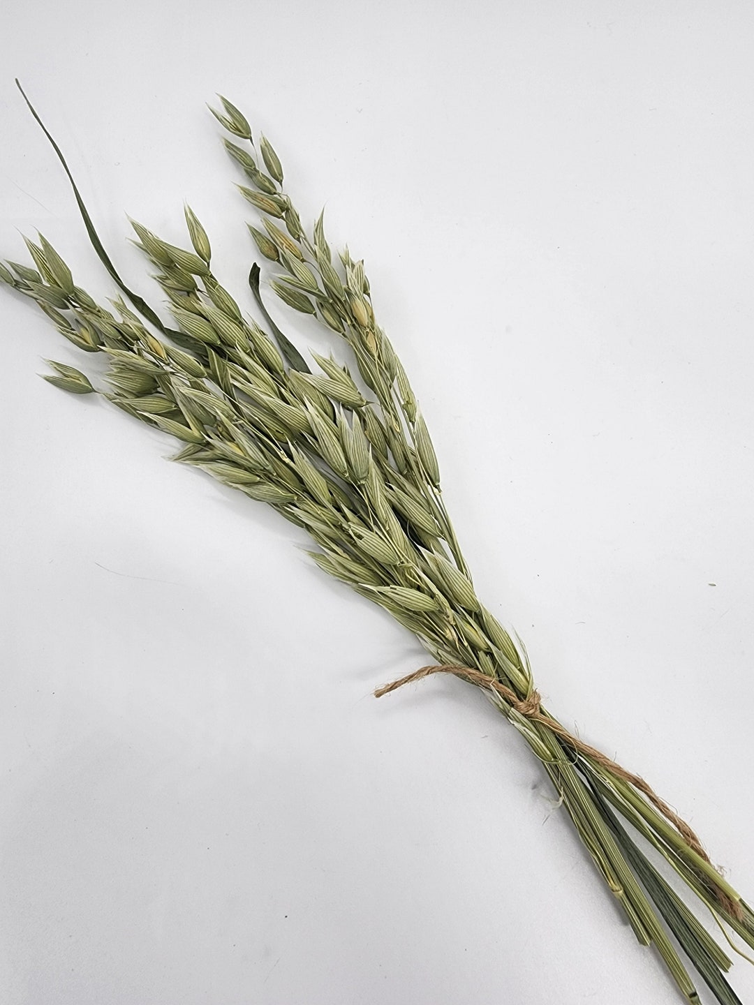Small Green Oat Spray for Hamsters/rodents/small Animals - Etsy
