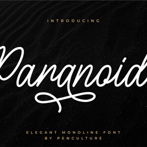 Paranoid - Script Font, Modern Script Font, Monoline Font, Stylish Font ...