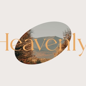 Beverly Font - Modern Serif Font, Branding Font, Logo Font, Ligature ...