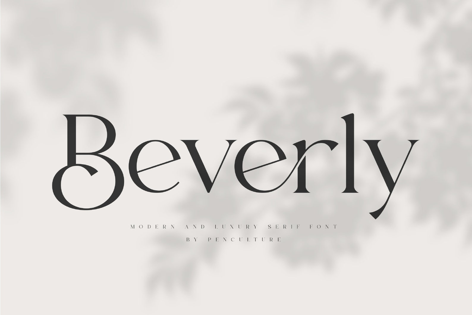 Beverly Font Modern Serif Font, Branding Font, Logo Font, Ligature Font ...