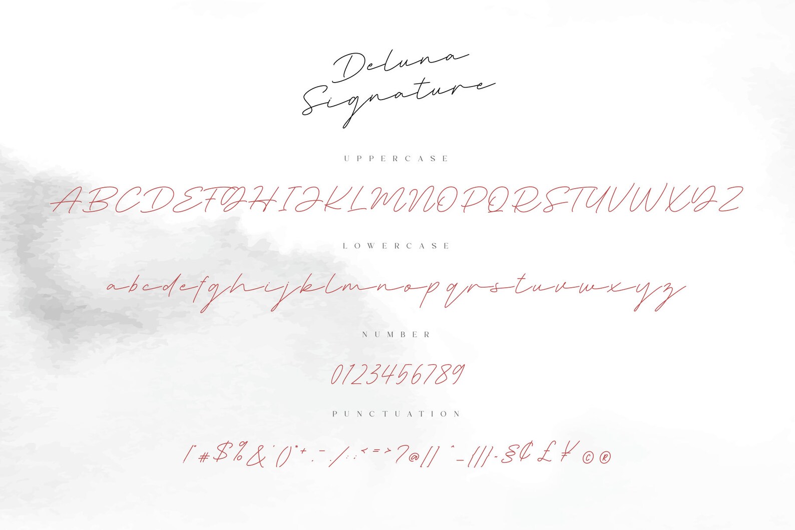 Handwritten Font Modern Font Font Download Script Font - Etsy