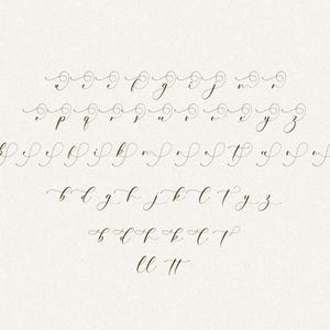 Calligraphy Font, Script Font, Wedding Font, Modern Font, Handwritten ...