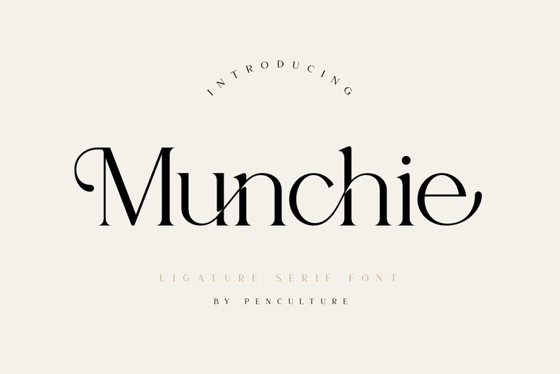Munchie Font Modern Serif Font Branding Font Logo Font - Etsy