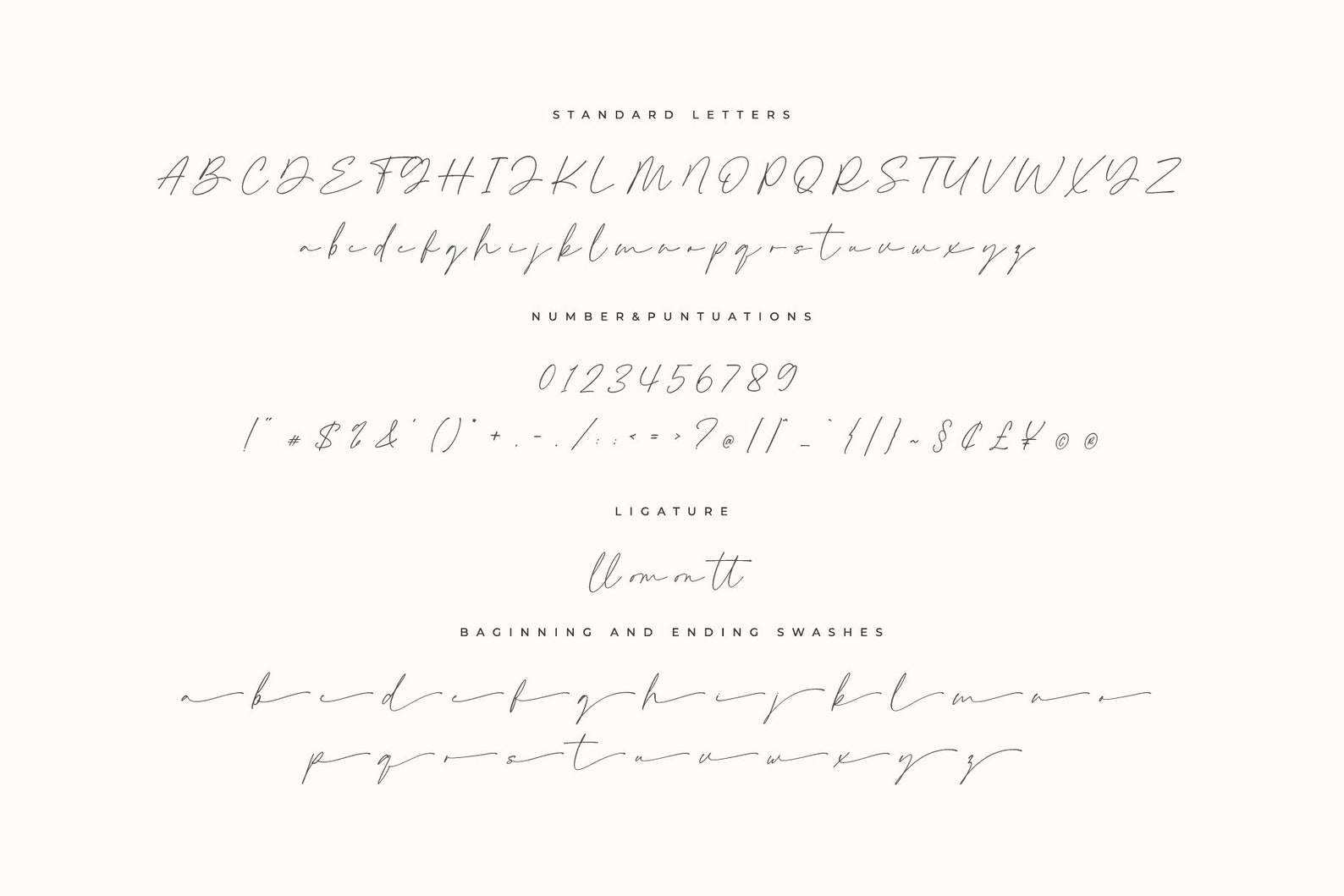 Modern Calligraphy Font Handwritten Font Wedding Font - Etsy