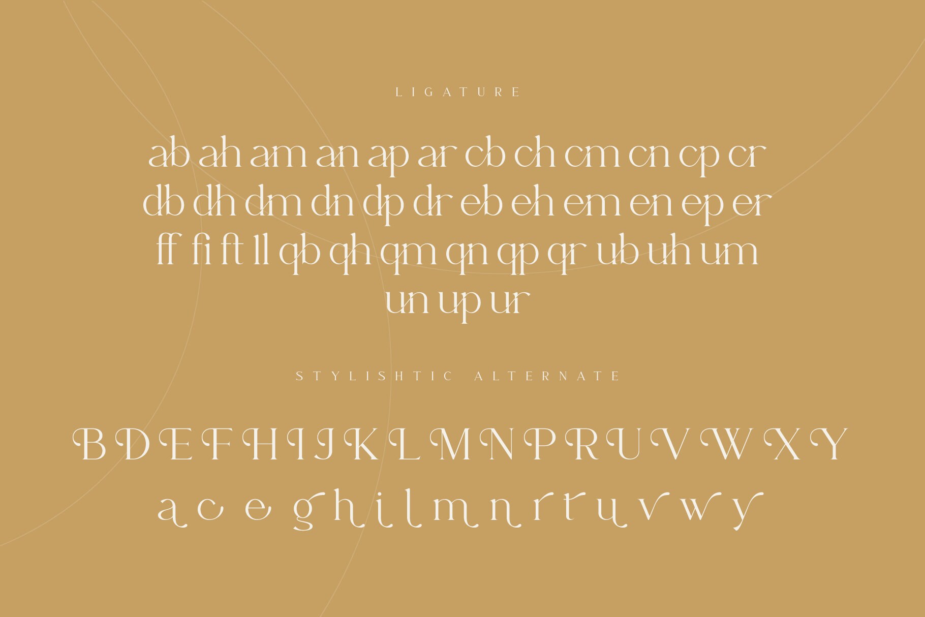 Munchie Font - Modern Serif Font, Branding Font, Logo Font, Ligature ...