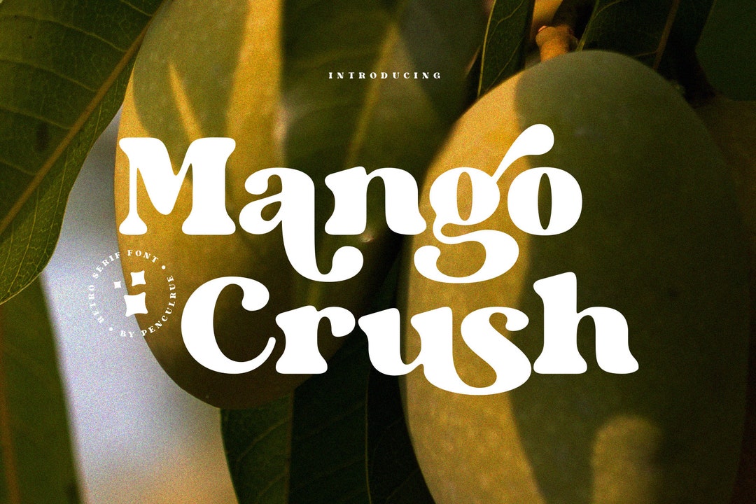 Mango Crush - Retro Serif Fonts, Cricut Fonts, Cursive Fonts, Boho ...