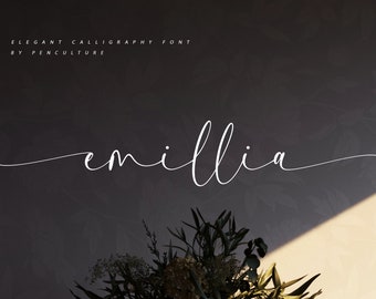 Modern Script Font BUNDLE, Calligraphy Font, Handwritten Script Font ...