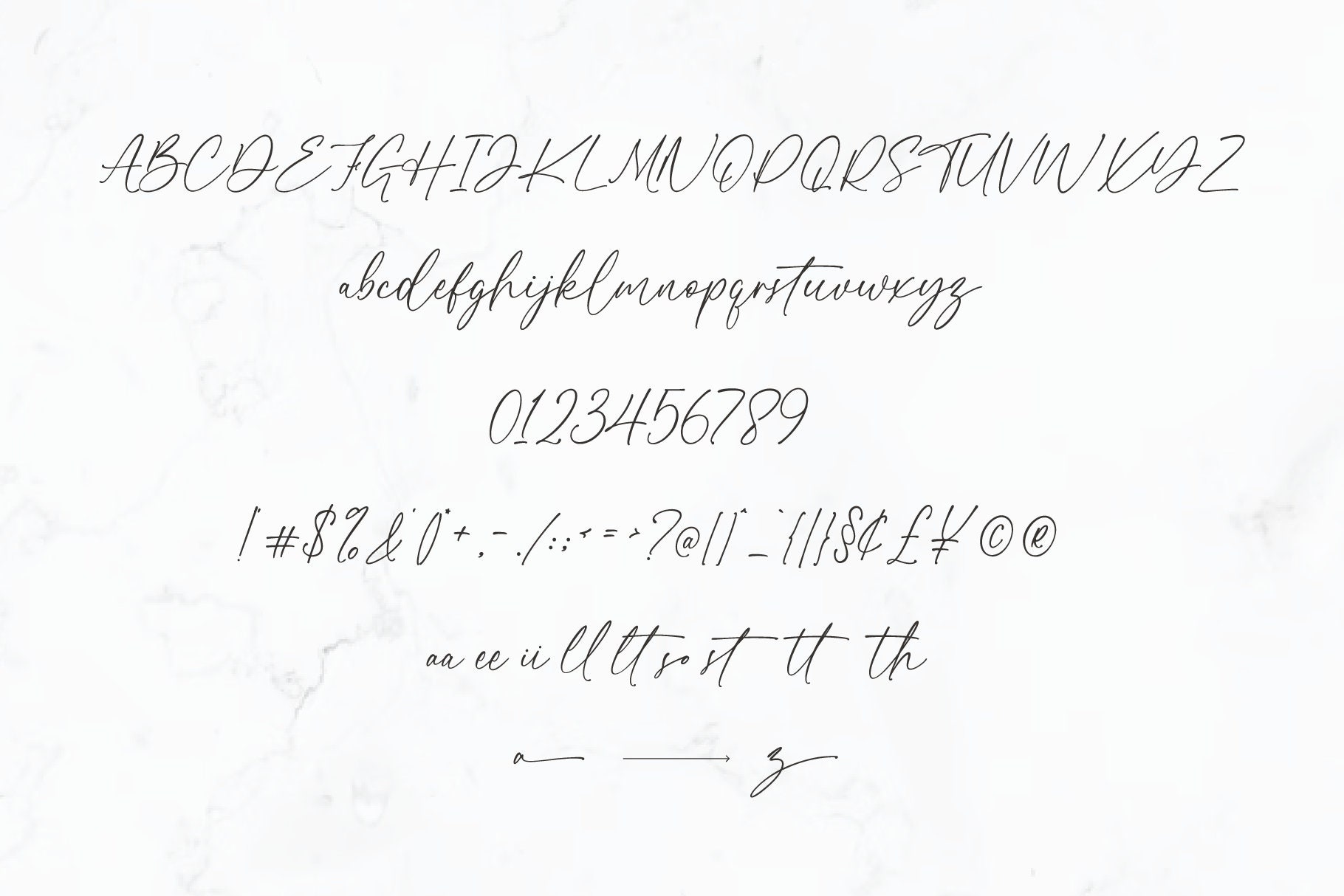 Modern Calligraphy Font Handwritten Font Script Font - Etsy