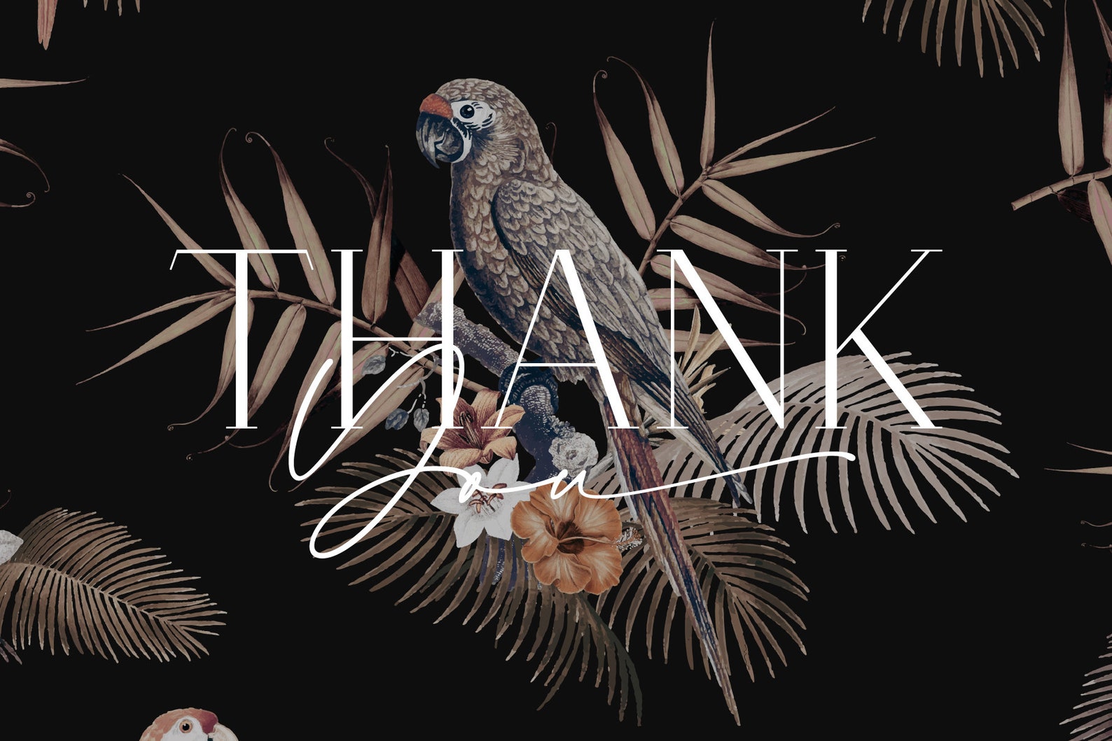 Morena Font Calligraphy Font Serif Font Modern Font - Etsy