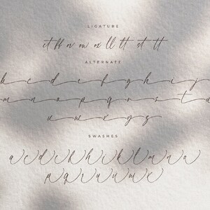 Calligraphy Font, Script Font, Modern Font, Wedding Font, Handwritten ...