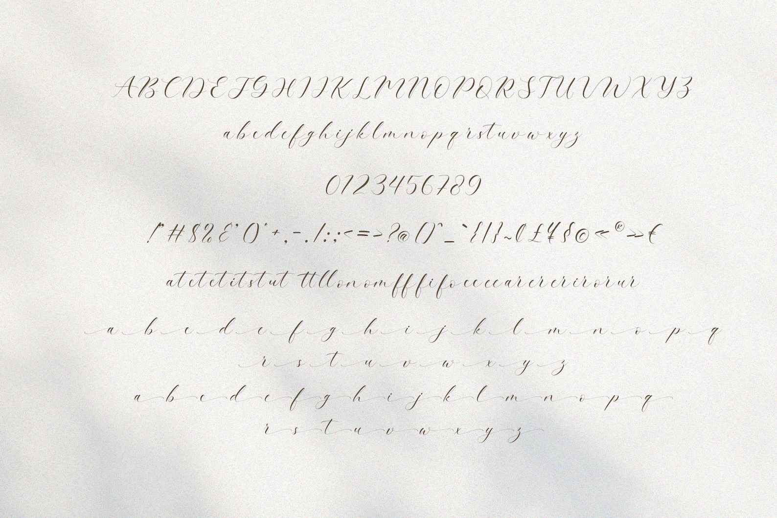 Calligraphy Font, Script Font, Wedding Font, Modern Font, Handwritten ...