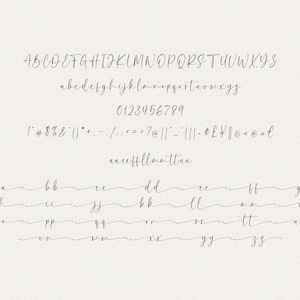 Calligraphy Font, Script Font, Wedding Font, Modern Font, Handwritten ...