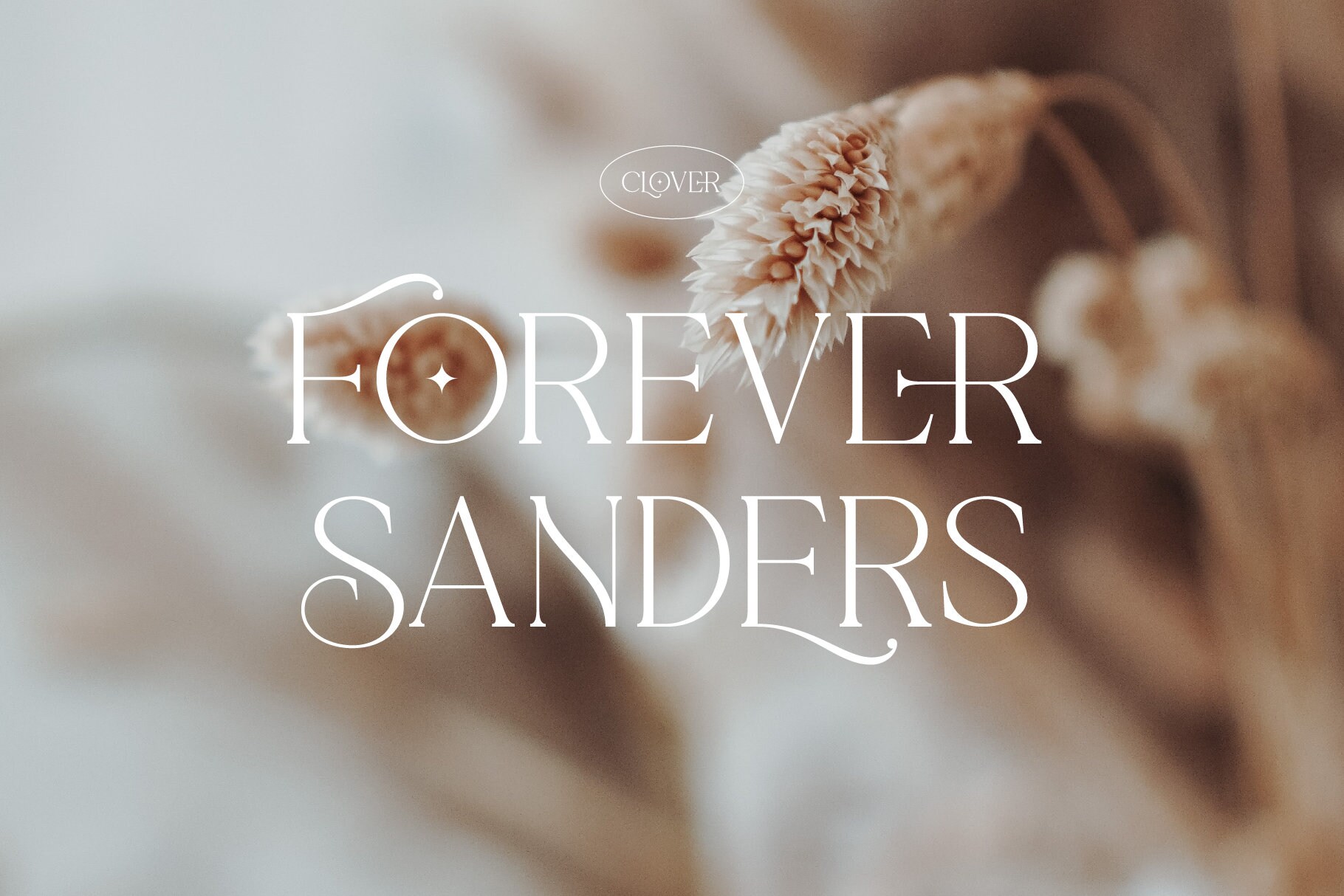 The Clover Calligraphy Fonts Serif Fonts Wedding Fonts - Etsy