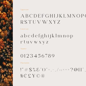 Beverly Font - Modern Serif Font, Branding Font, Logo Font, Ligature ...