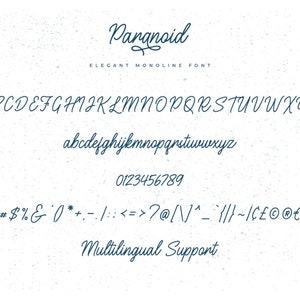 Paranoid - Script Font, Modern Script Font, Monoline Font, Stylish Font ...