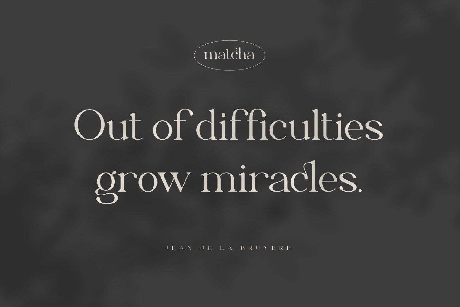 Matcha Font - Modern Serif Font, Branding Font, Logo Font, Ligature ...