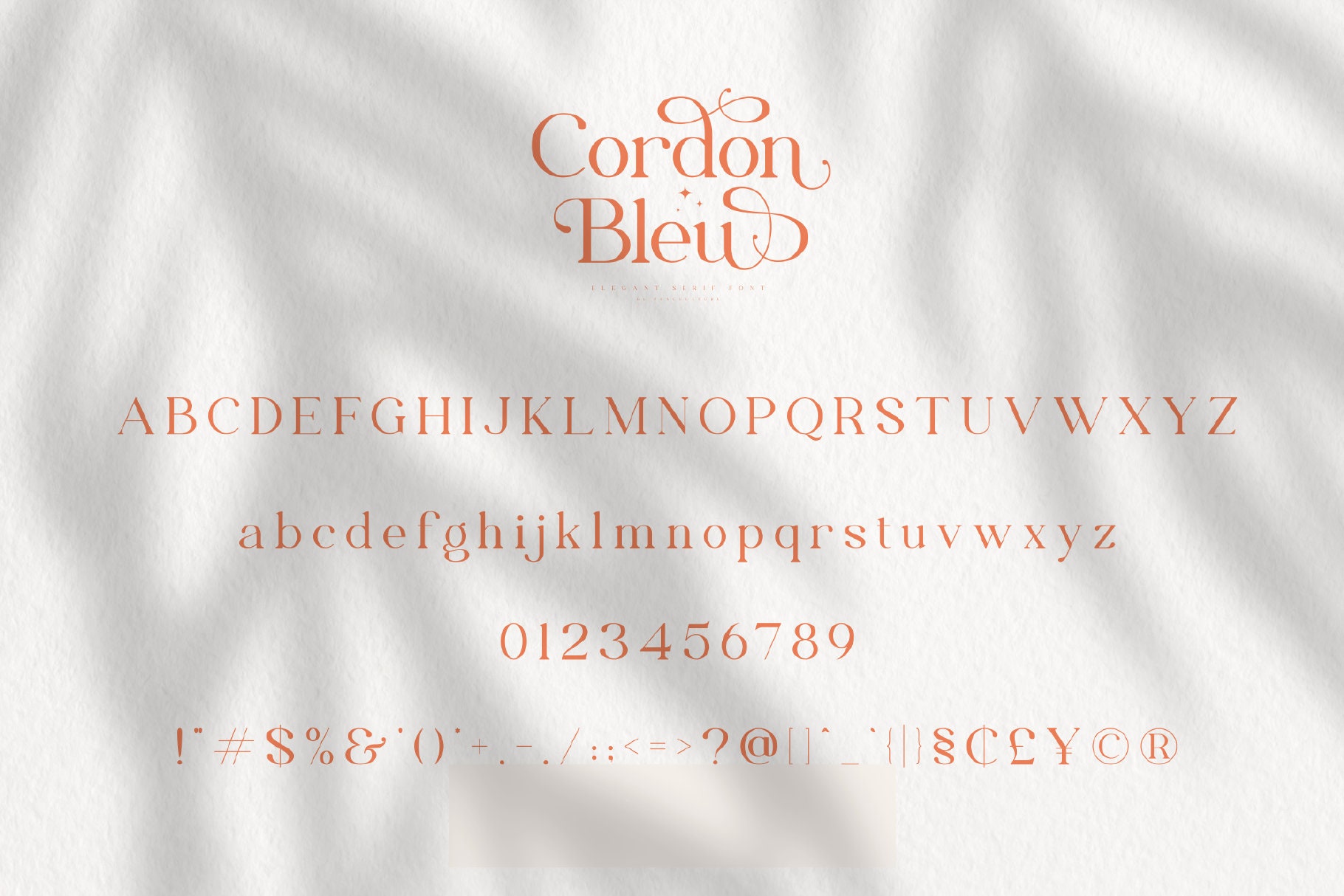 Cordon Bleu Font Modern Serif Font Branding Font Logo - Etsy