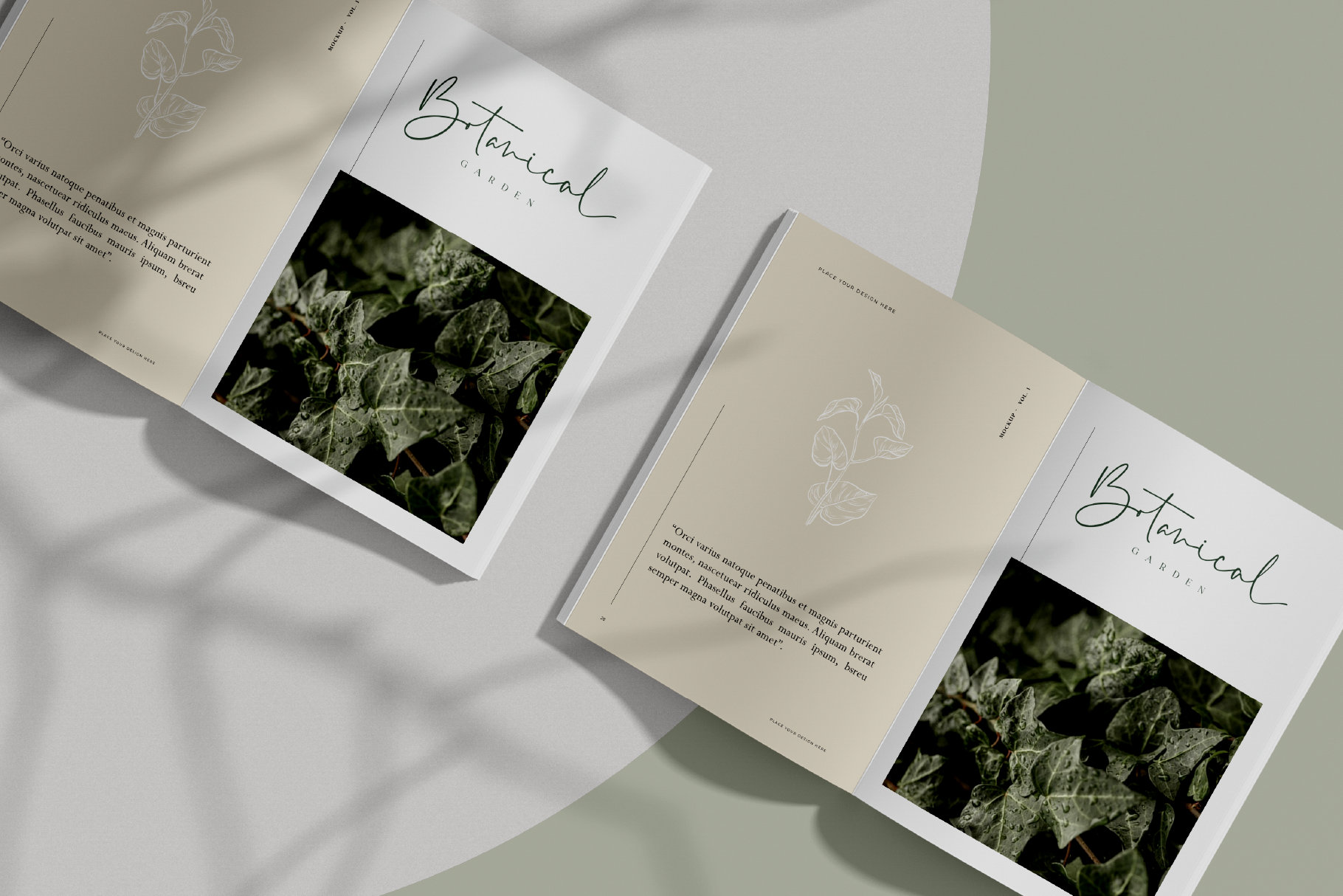 Modern Calligraphy Font Handwritten Font Script Font - Etsy