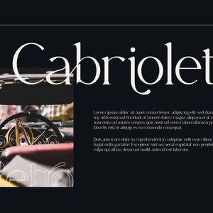 Munchie Font - Modern Serif Font, Branding Font, Logo Font, Ligature ...