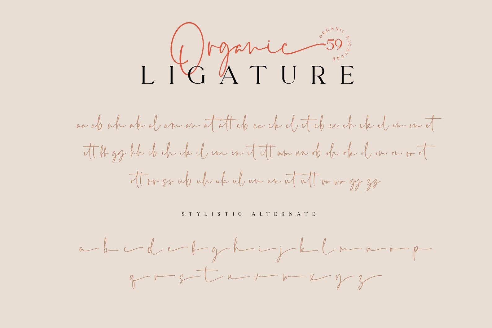 Modern Calligraphy Font Handwritten Font Script Font - Etsy