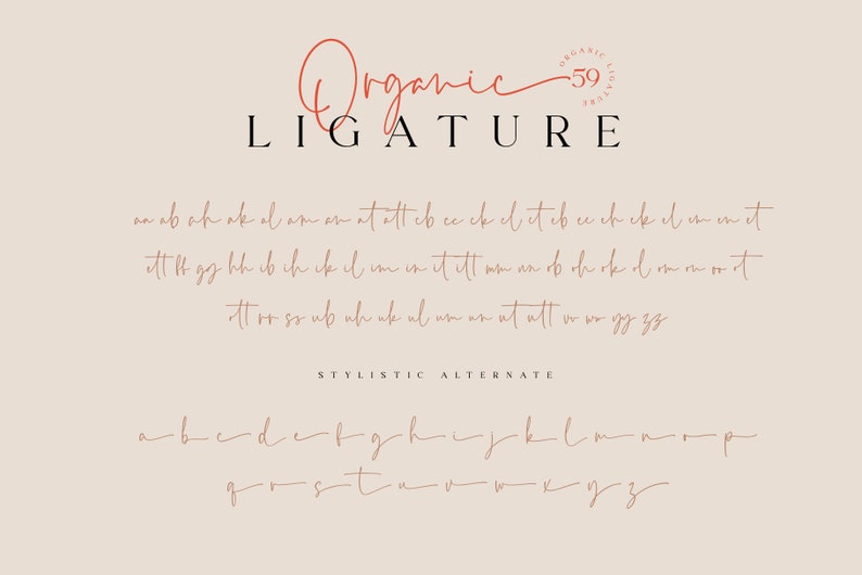 Modern Calligraphy Font Handwritten Font Script Font - Etsy