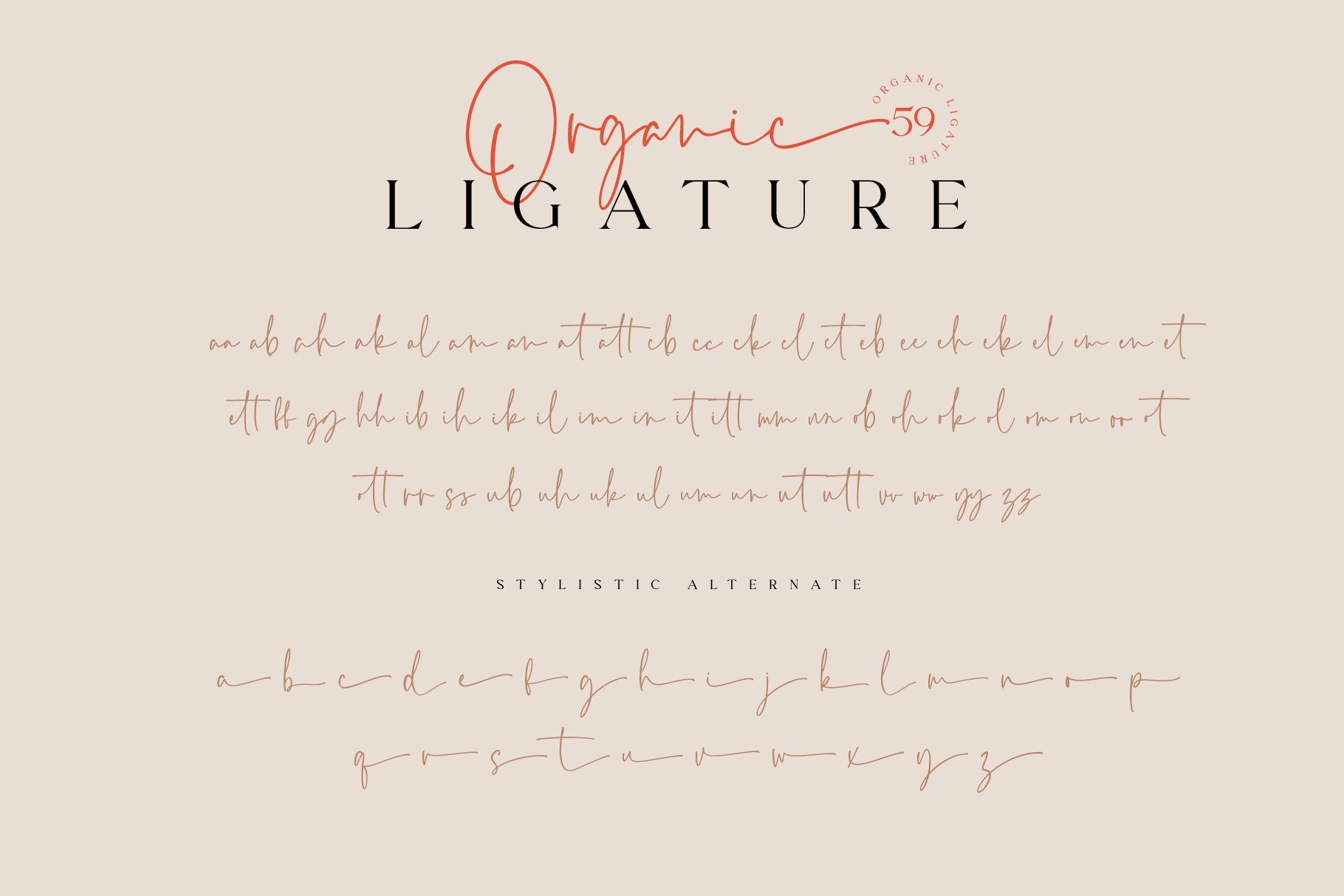 Modern Calligraphy Font Handwritten Font Script Font - Etsy