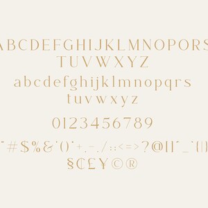 Munchie Font - Modern Serif Font, Branding Font, Logo Font, Ligature ...