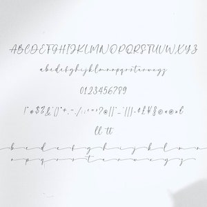 Calligraphy Font, Script Font, Wedding Font, Modern Font, Handwritten ...