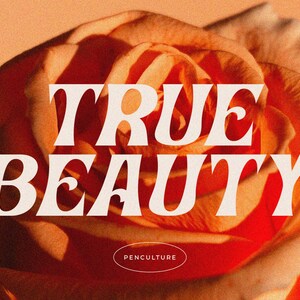 Orange Beachy - Retro Fonts, Cricut Fonts, Logo Fonts, Canva Fonts ...