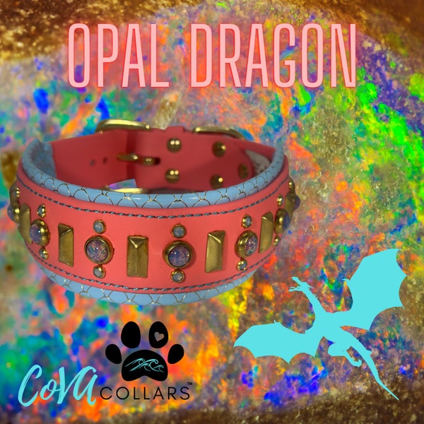 Dragon Dog Collar - Etsy
