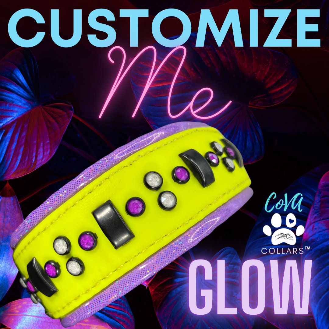 CUSTOMIZABLE MADE to ORDER Neon Yellow Purple Electric Violet Biothane ...