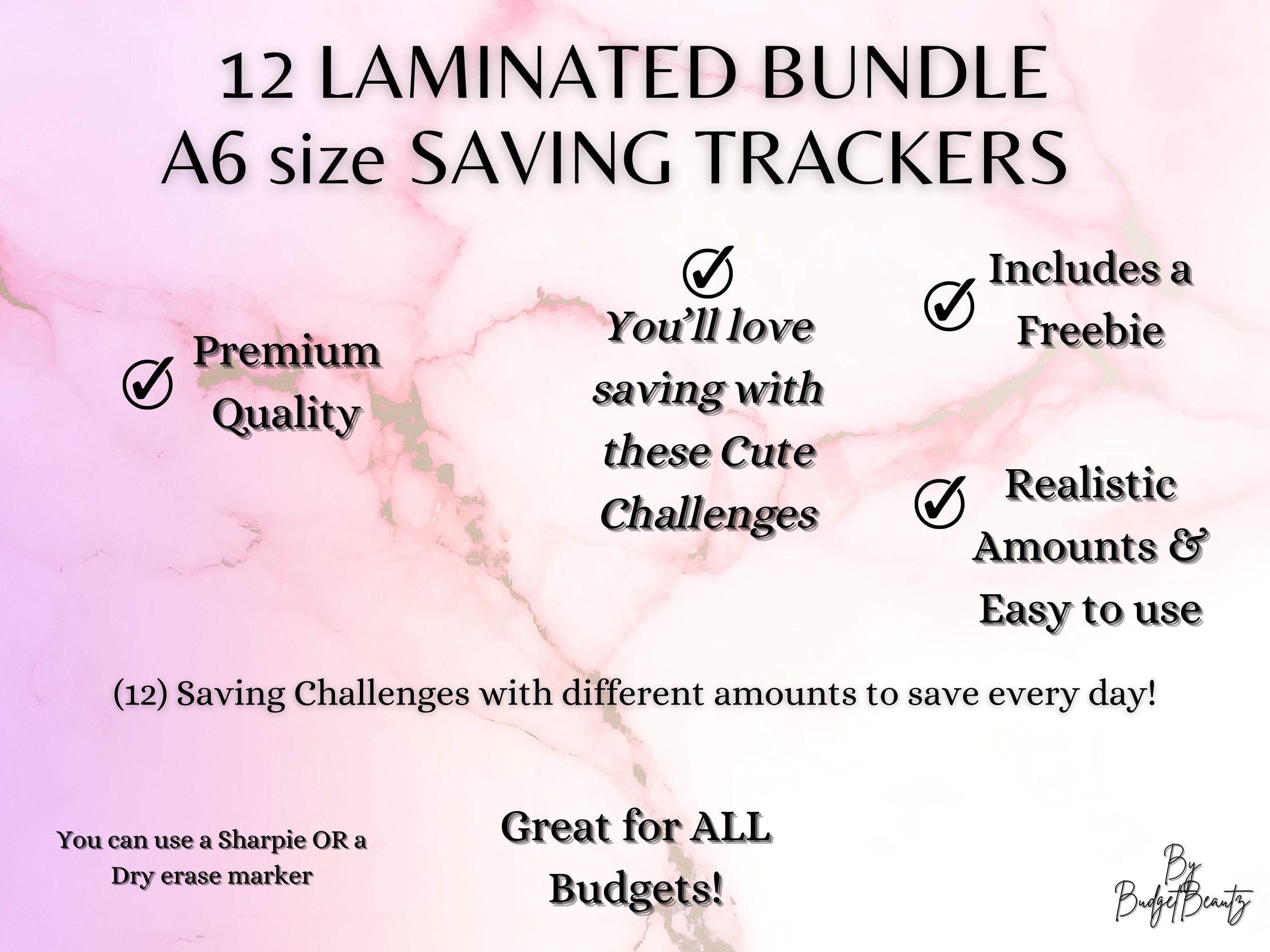 Laminated Easy Low Amounts BUNDLE Savings Challenge Cash Trackers ...