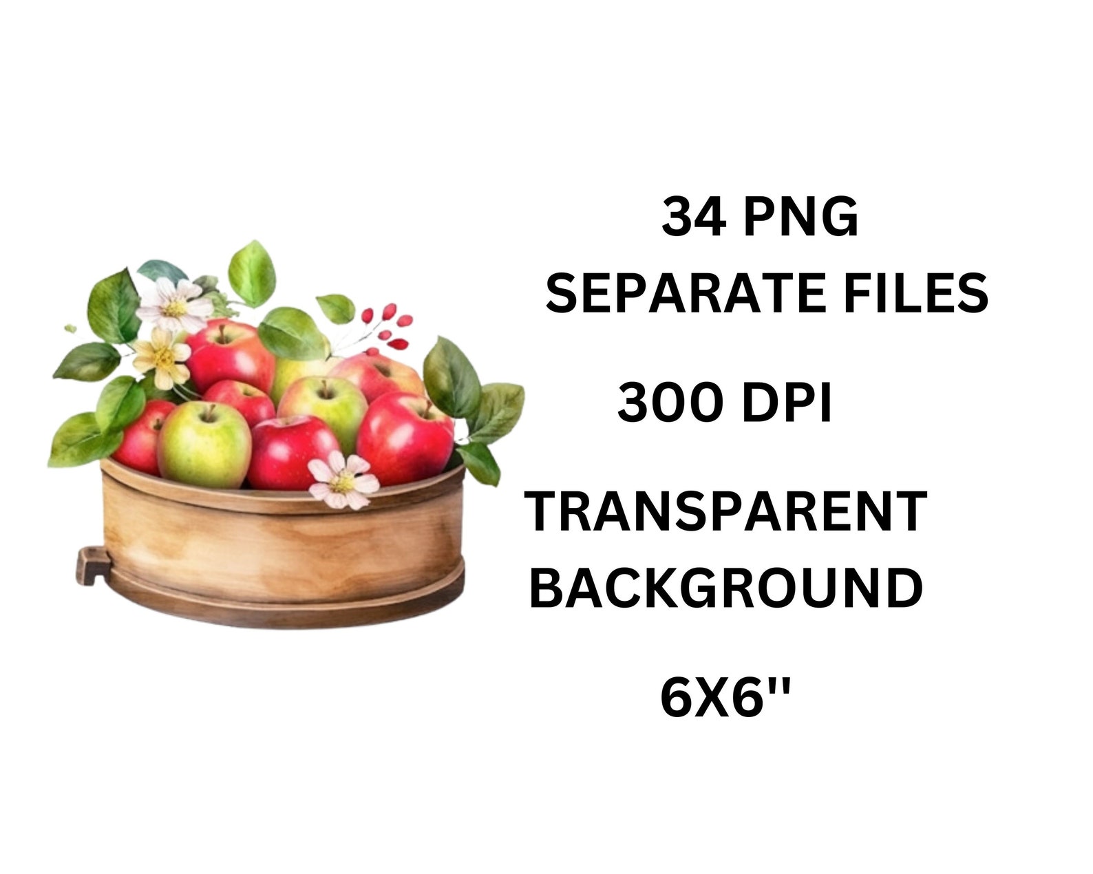 Watercolor Apples Clipart Digital Png Apple Harvest Graphics for ...