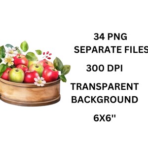 Watercolor Apples Clipart Digital Png Apple Harvest Graphics for ...