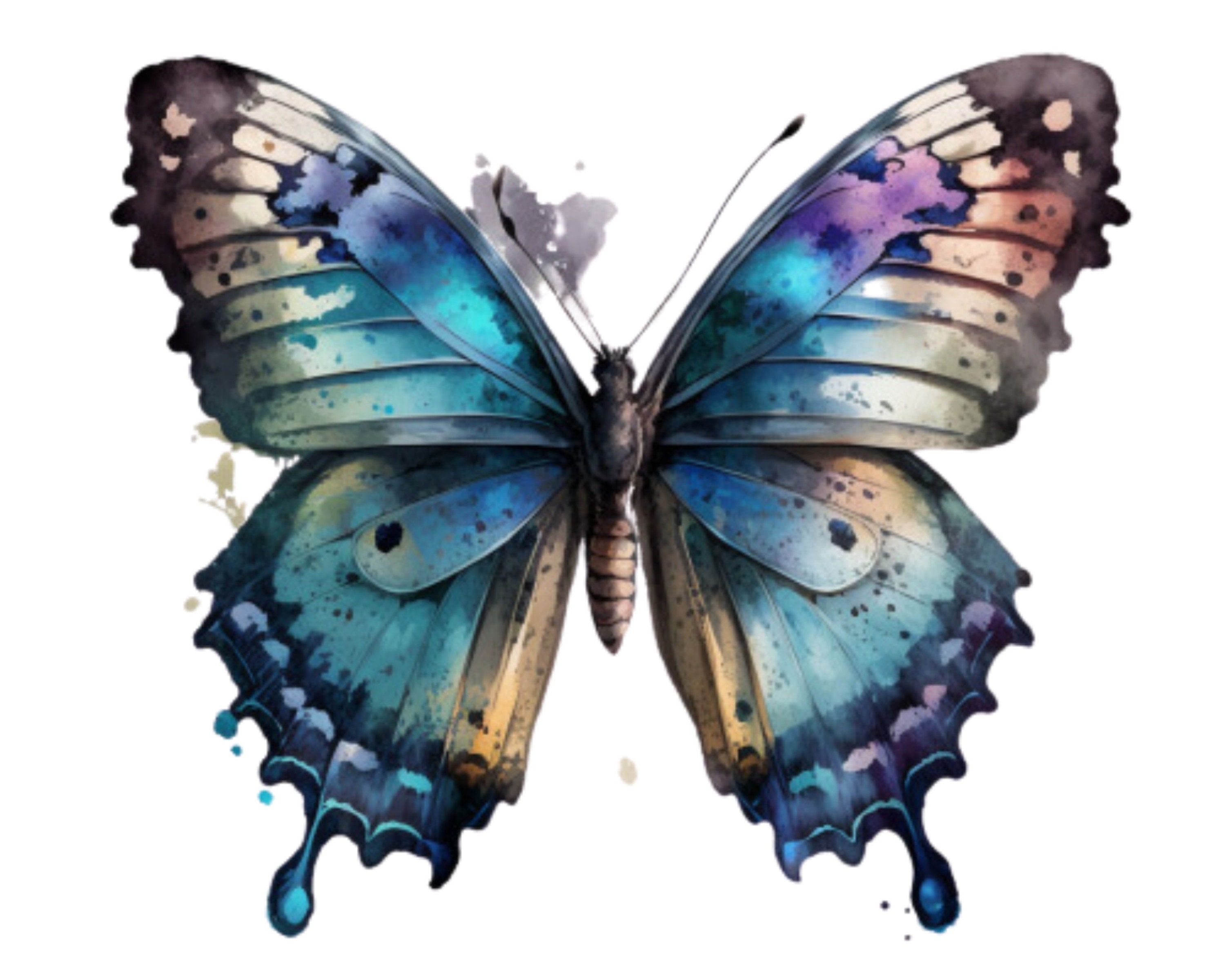 Butterfly Png, Butterfly Illustrations, Colorful Butterflies ...