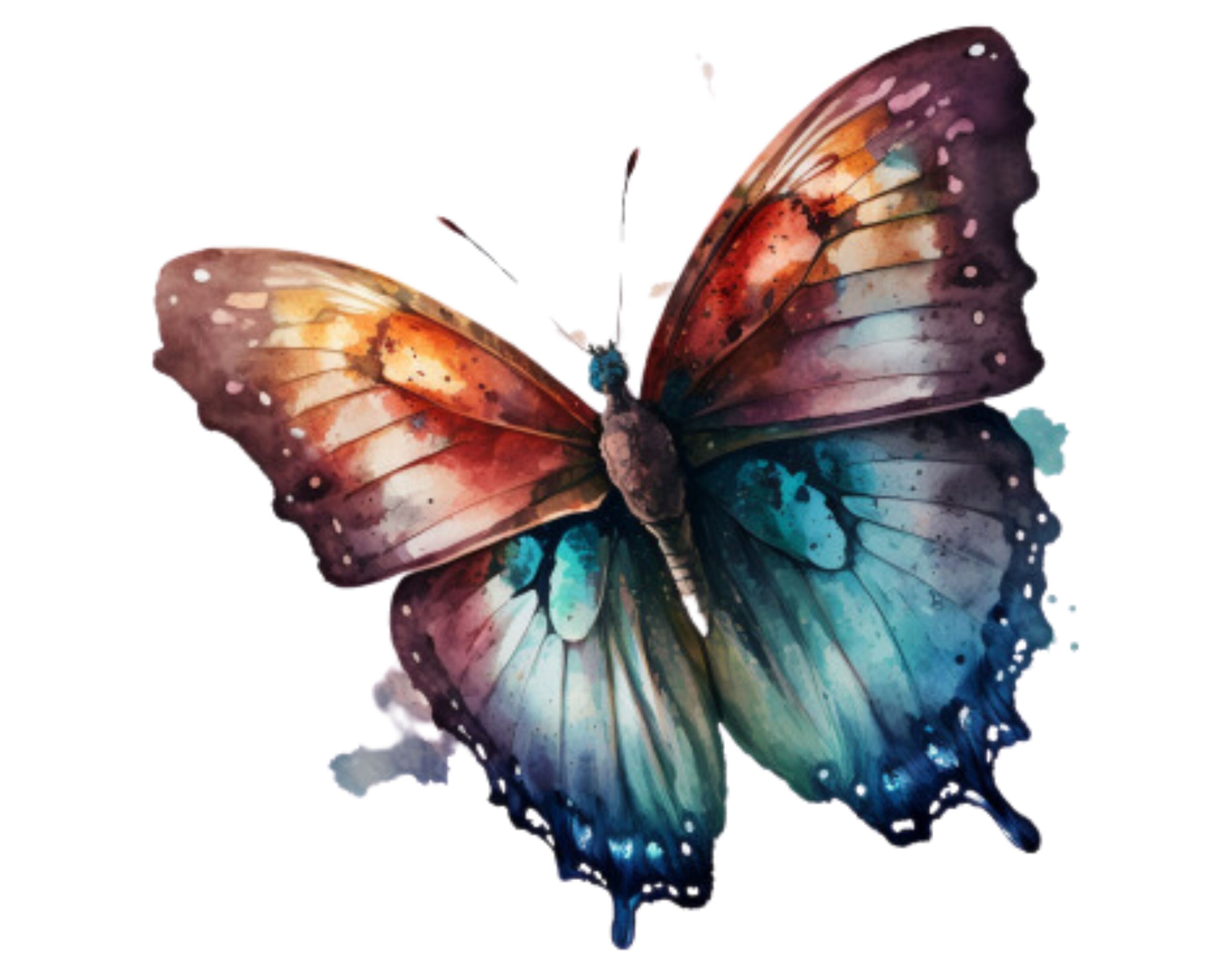 Butterfly Png, Butterfly Illustrations, Colorful Butterflies ...