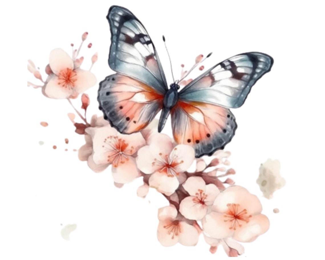 Butterfly Png, Butterfly Illustrations, Colorful Butterflies ...