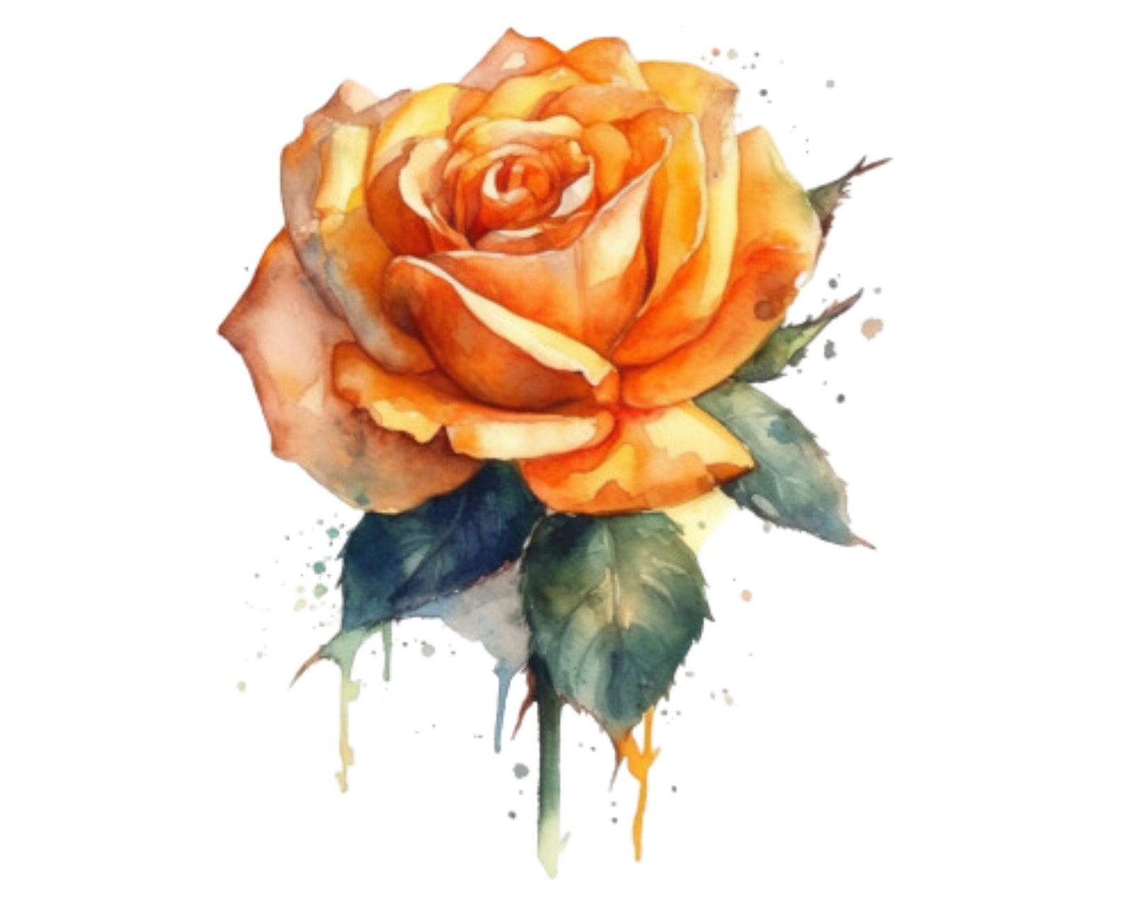 Watercolor Orange Roses Clipart Watercolor Roses Clipart Roses PNG ...