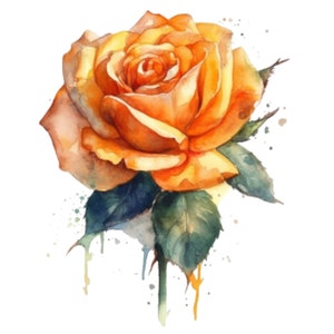 Watercolor Orange Roses Clipart Watercolor Roses Clipart Roses PNG ...