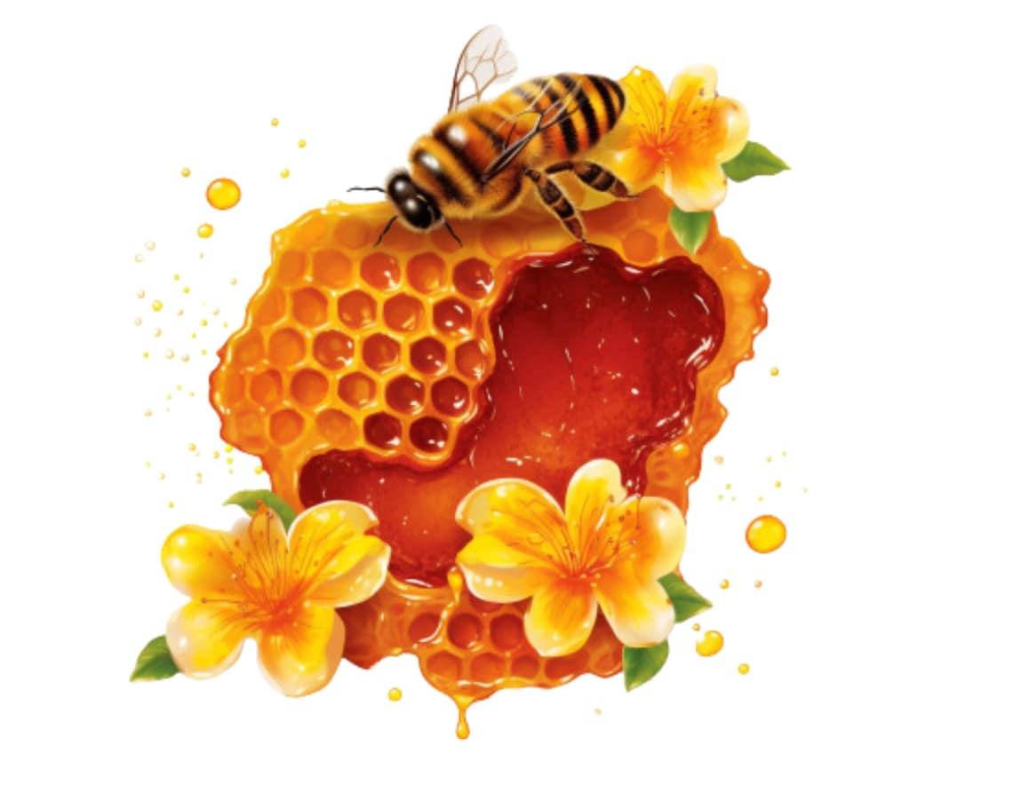 Honey Jar Clipart Beehive Clipart Watercolor Honey Bee - Etsy