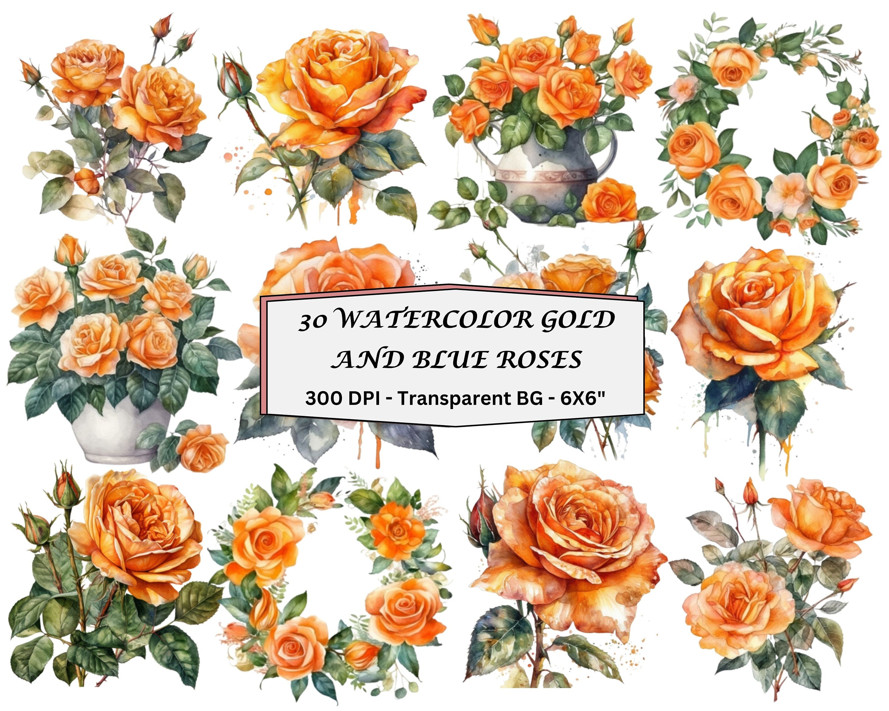 Watercolor Orange Roses Clipart Watercolor Roses Clipart Roses PNG ...