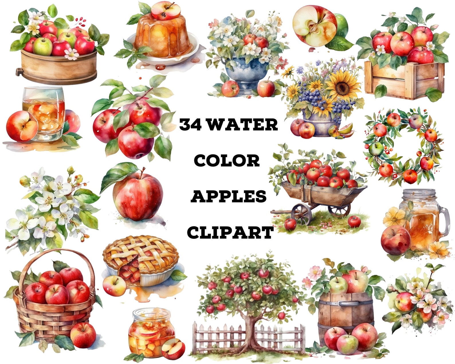 Watercolor Apples Clipart Digital Png Apple Harvest Graphics for ...