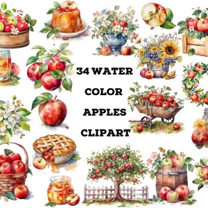 Watercolor Apples Clipart Digital Png Apple Harvest Graphics for ...