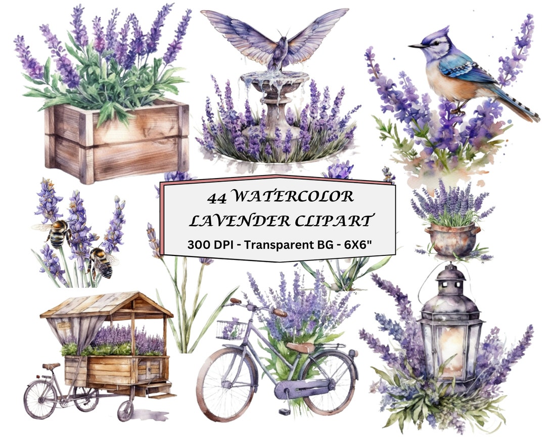 Watercolor Lavender Clip Art, Watercolor Lavender Garden Clipart ...
