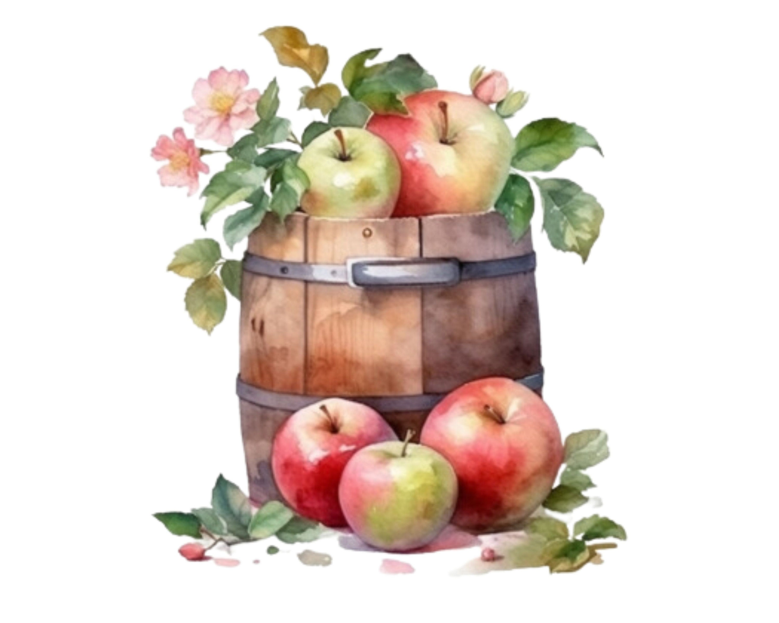 Watercolor Apples Clipart Digital Png Apple Harvest Graphics for ...