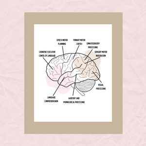 10 Speech Therapy Room Posters SLP Decor Language Pathologist Prints ...