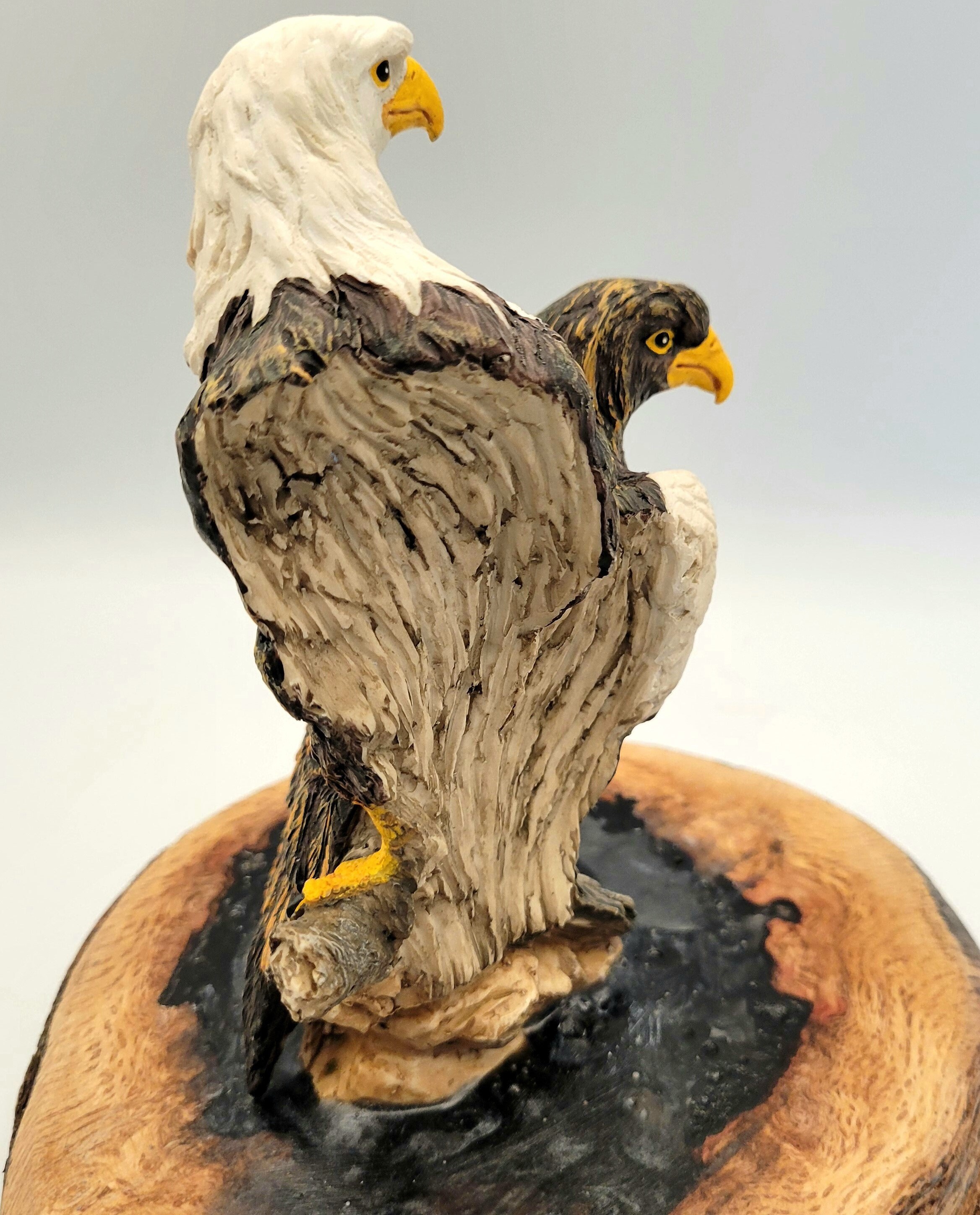 Bald Eagle Oak Wood Burle Handcrafted Live Edge Wooden Perch Tabletop ...