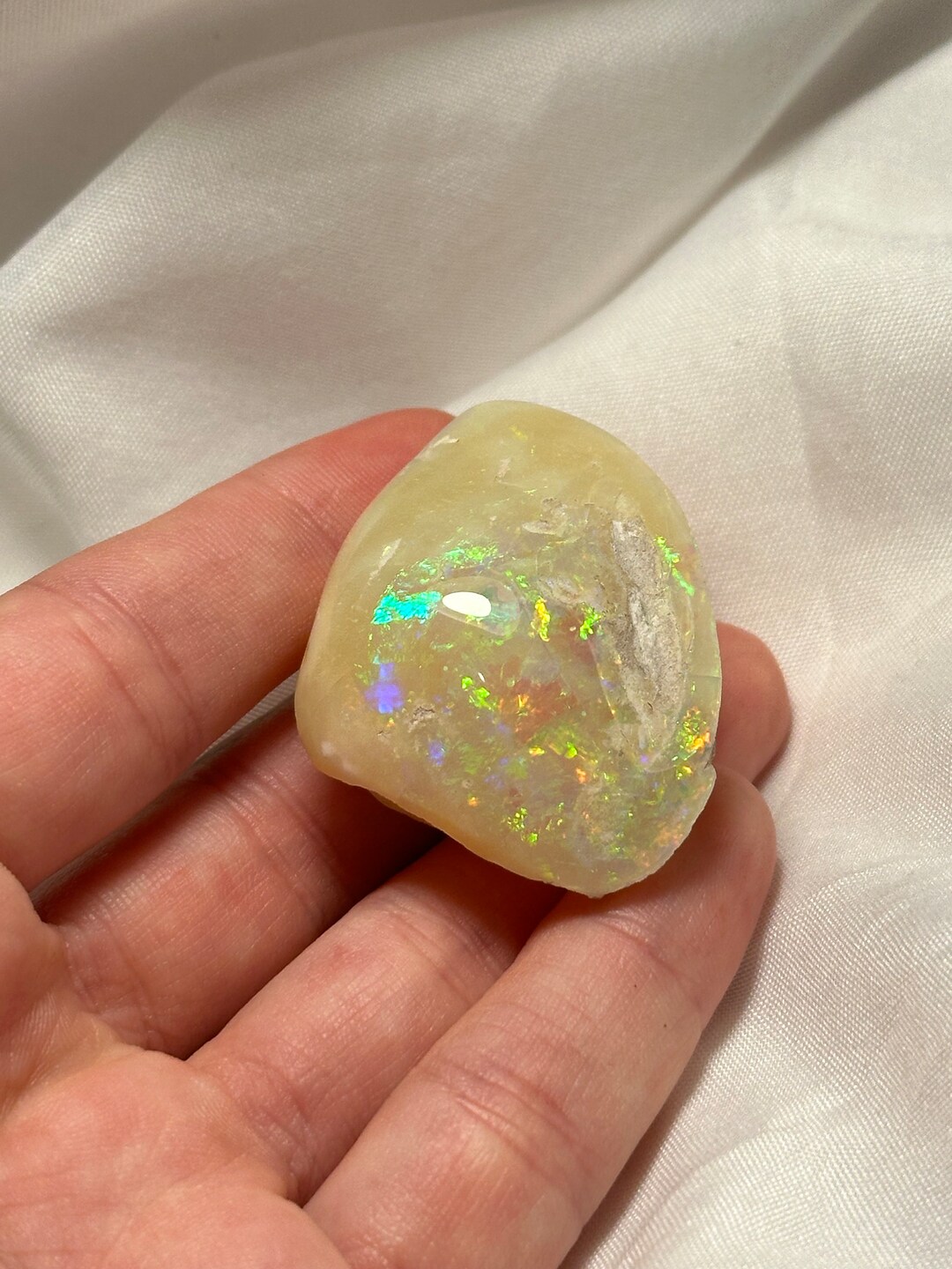 Opalised Shell Fossil - Etsy