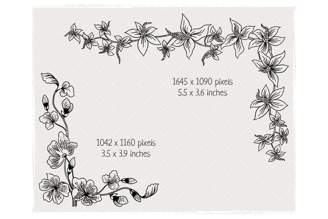 Border With Flowers, Printable Border A4, Instant Download PNG, JPEG ...